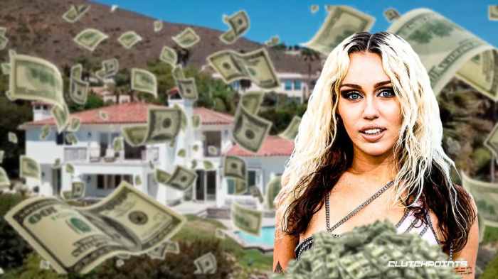 Inside Miley Cyrus' $7.9 million home, with photos