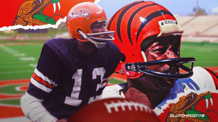 Bengals legend Ken Riley's NFL honor draws reaction from Florida A&M ...