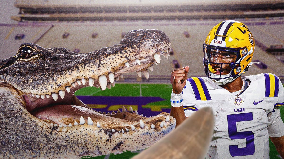 LSU football QB Jayden Daniels' expected status vs. Florida after head ...