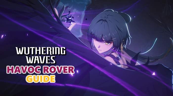 Havoc Rover Build - Best Weapon And Echoes Guide