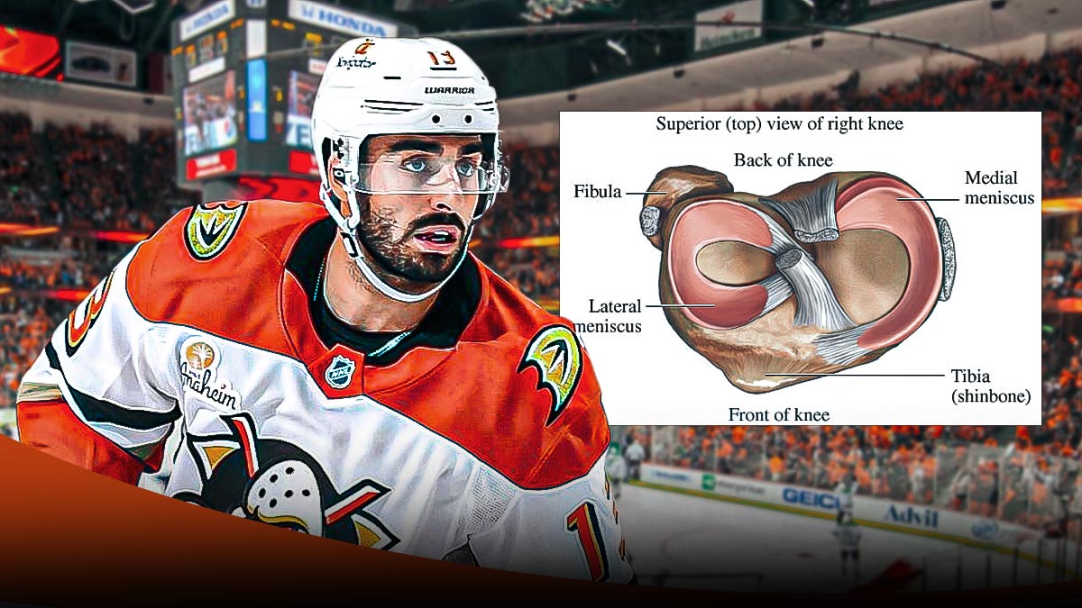 Ducks player suffers 5th knee injury of career
