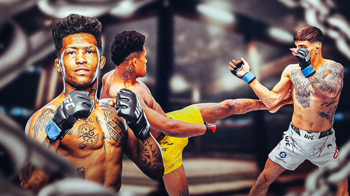 Best UFC knockouts of 2024, ranked