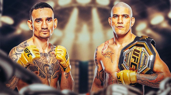 Best UFC knockouts of 2024, ranked