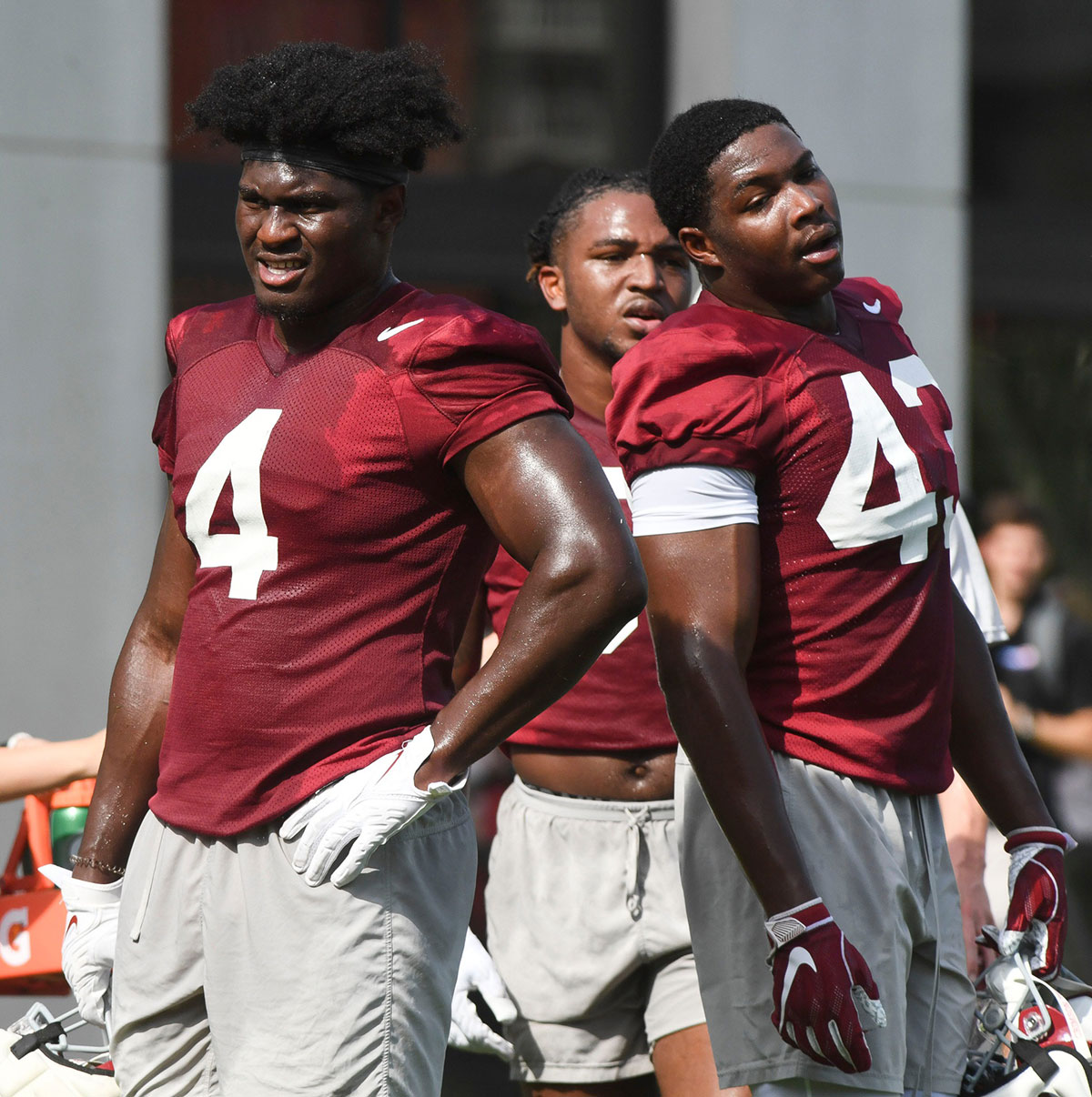 Jalen Milroe draws Lamar Jackson 'style' comparison from Alabama's ...