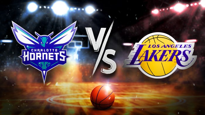 Hornets vs. Lakers prediction, odds, pick - 2/19/2025