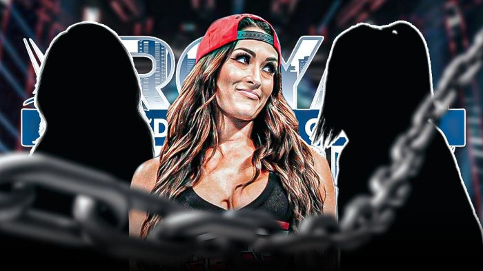 Nikki Bella reveals her WWE target list after huge 2025 Royal Rumble return