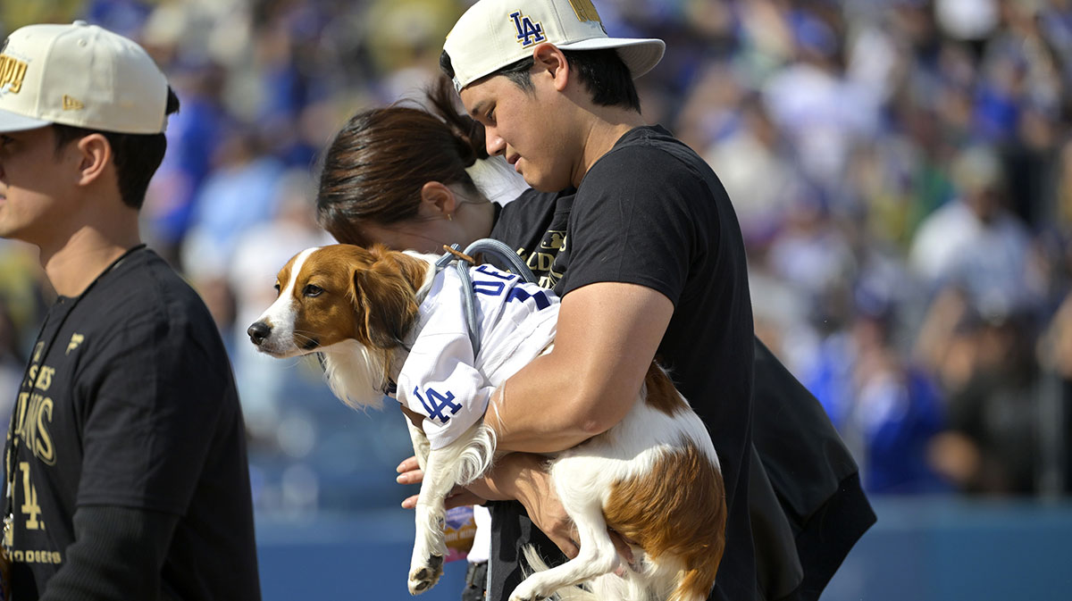 Dodgers' Shohei Ohtani-Fortnite collab gets mixed reactions from fans