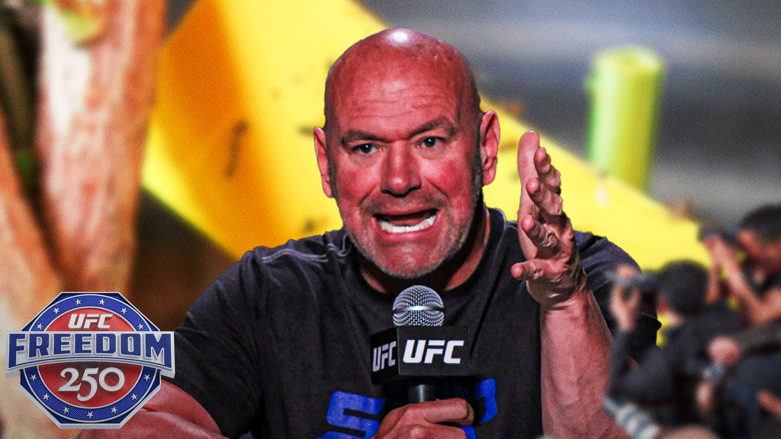 UFC news: Dana White reveals massive 'gnats' problem before Freedom 250 ...